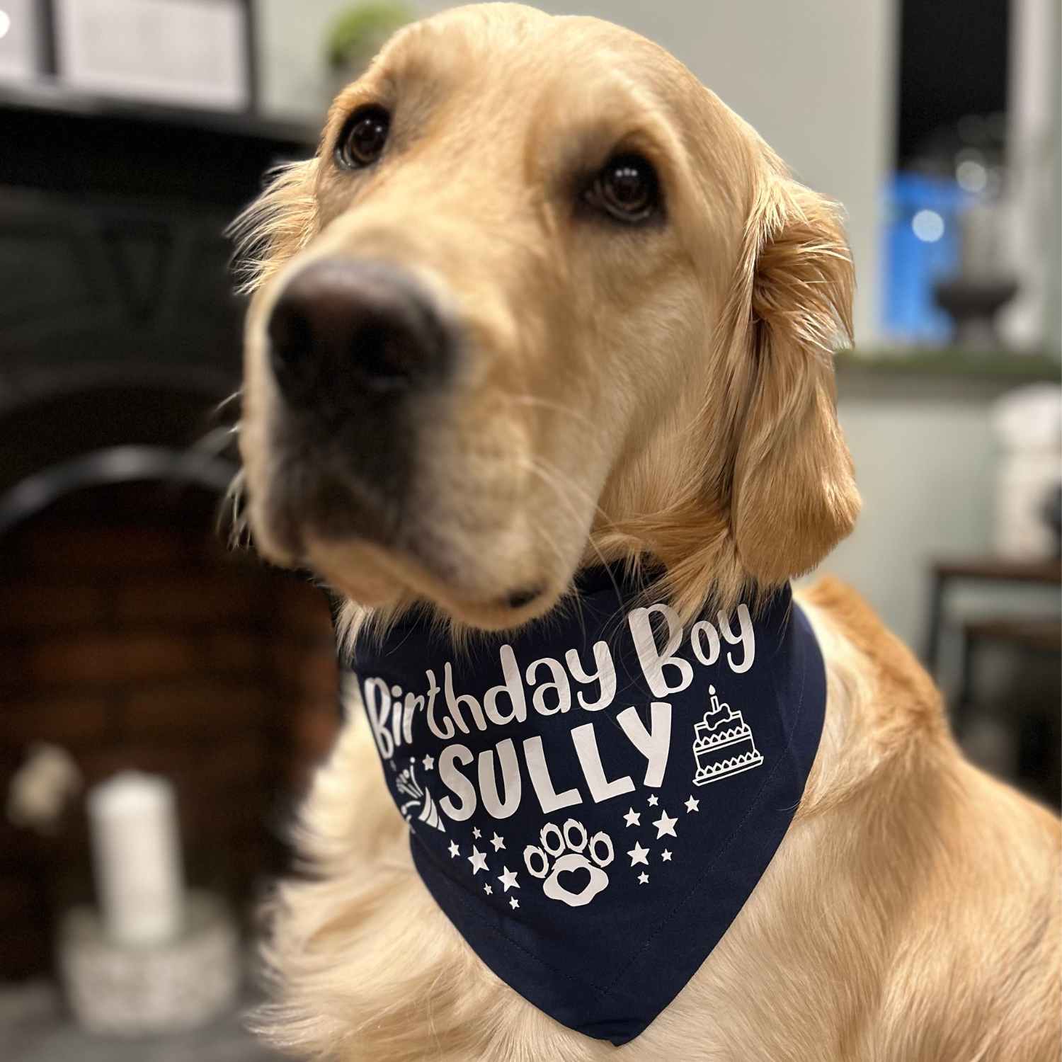 Custom Printed Dog Bandana - Dudiedog