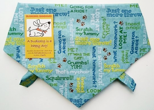 Doggy Text Dog Bandana (Blue) - Dudiedog