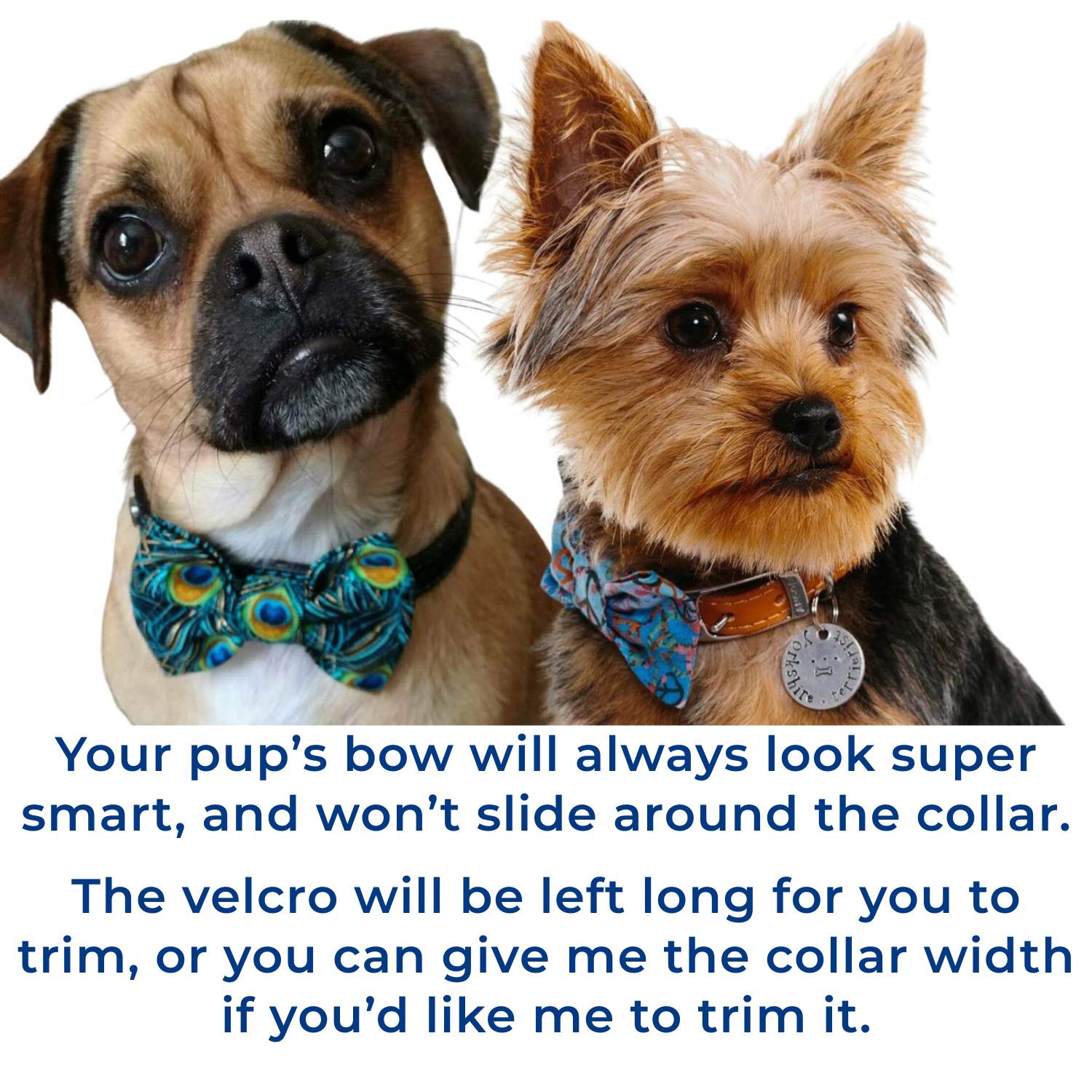 Doggy Allsorts Bow Tie - Dudiedog