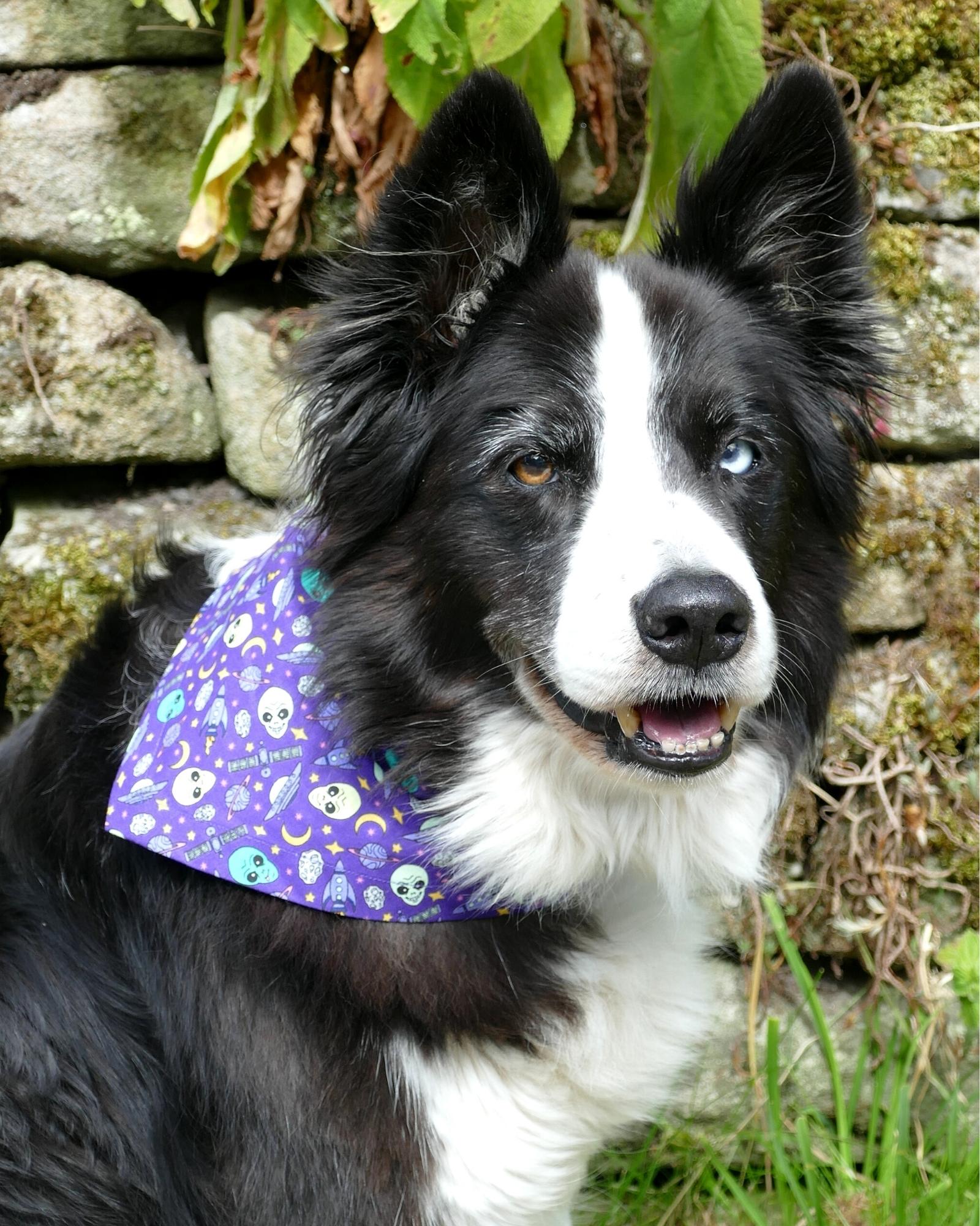 Out Of This World Alien Bandana - Dudiedog